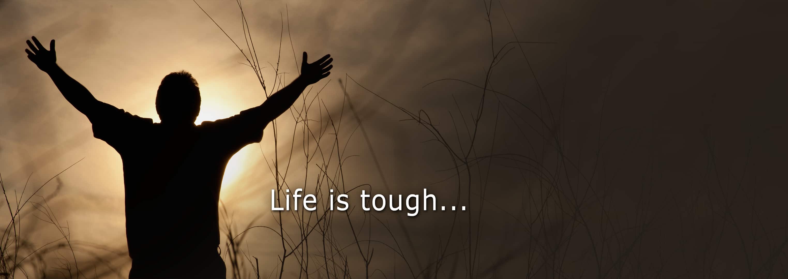 Shattered | Gary Roe